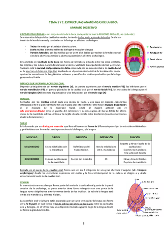 T.-1-2-estructuras-anatomicas-boca.pdf