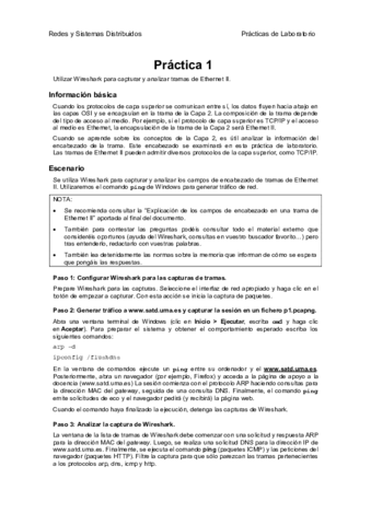 Práctica 1.pdf