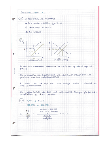 TEMA-3-PRACTICA.pdf