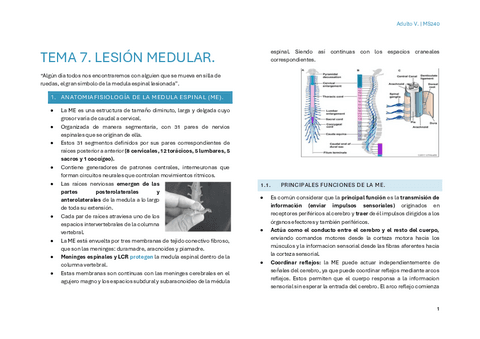 T.7-LESION-MEDULAR.pdf