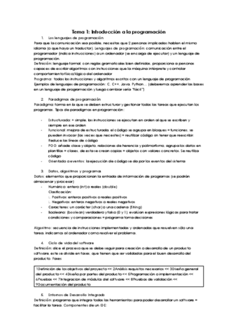 Tema-1-Programacion.docx.pdf