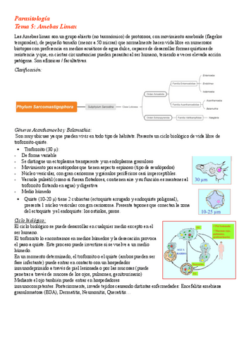 Tema-5-Amebas-Limax.pdf