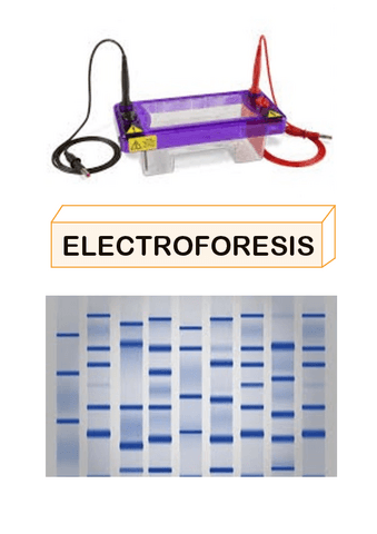 Tema-7-Electroforesis.pdf