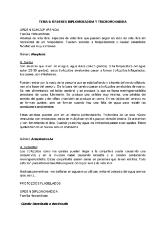 TEMA-6-ORDENES-DIPLOMONADIDA-Y-TRICHOMONADIDA.pdf