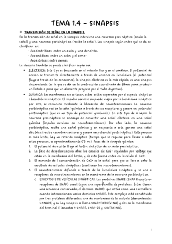 TEMA-1.4-SINAPSIS-EYF.pdf