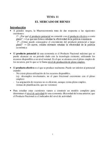 tema-11-macro.pdf