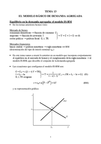 tema-13-macro.pdf