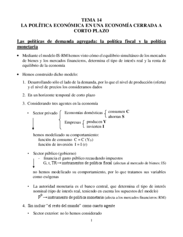 tema-14-macro.pdf