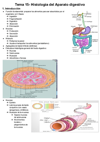 Tema-15-Histologia-del-Aparato-digestivo.pdf