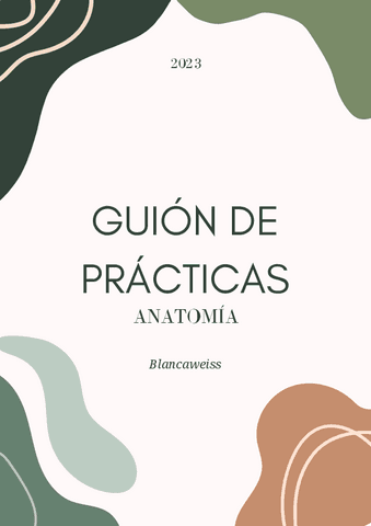 GuION-DE-PRACTICAS.pdf