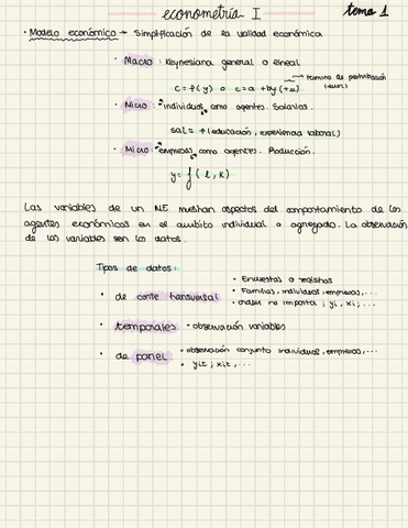 Tema 1. Econometría 1.pdf