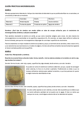 guion-practicas-micro.pdf