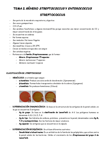 Tema-2-micro-II.pdf