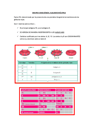 GRUPOS-SANGUINEOS-ALELISMO-MULTIPLE.pdf