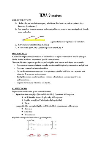 bioquimica-tema-3.pdf