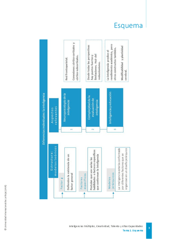 Esquemas-de-todos-los-temas.pdf