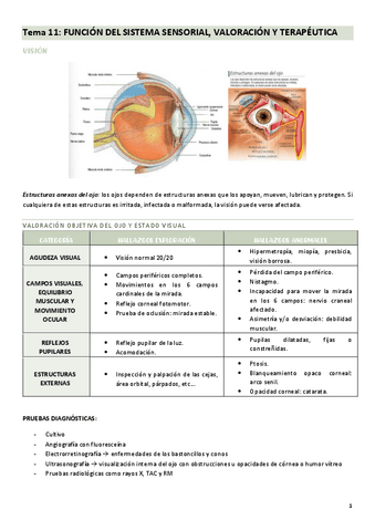 Tema-11-cuidados-del-adulto-II.pdf