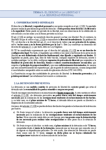 TEMA-5.pdf