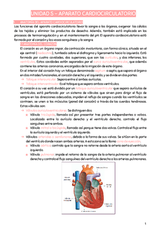 APARATO-CARDIOCIRCULATORIO.pdf