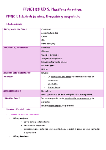 Teoria-examen-practico-UD5-AB.pdf