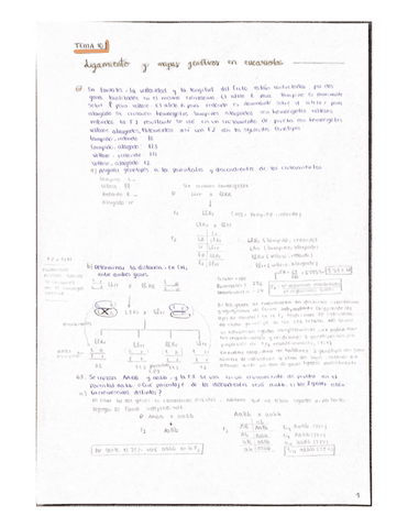 Tema-10-FG.pdf
