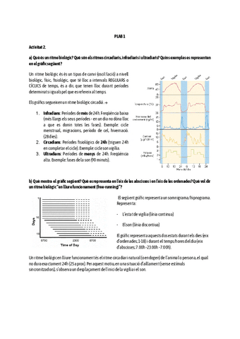 PLAB-1-practica-1-exs.pdf