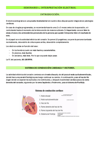 SEMINARIO-1.-INTERPRETACION-DE-ELECTROS.pdf