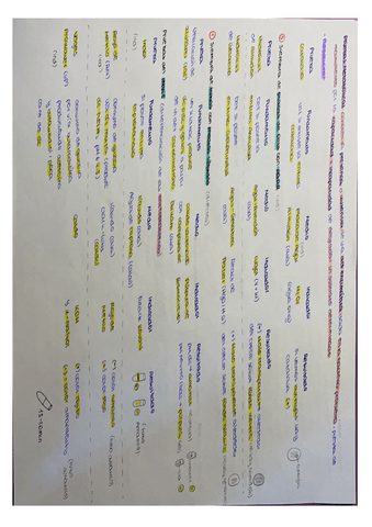Tabla-Pruebas-Bioquimicas-Practicas-Micro.pdf