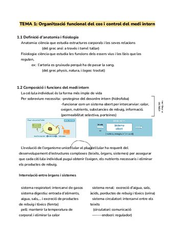 TEMA-1-Organitzacio-funcional-del-cos-i-control-del-medi-intern.pdf