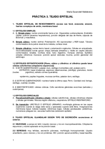 PRACTICA-3-HISTO.pdf