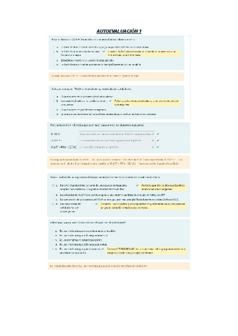 Autoevaluaciones-y-ejs-bloque-I-y-II.pdf