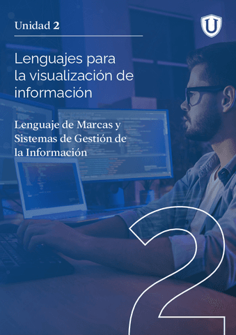 U2-Lenguajes-para-la-visualizacion-de-informacion.pdf