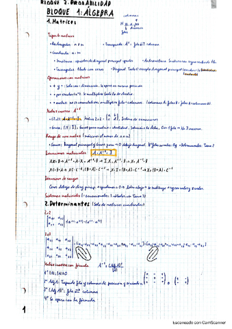 Matematicas-Bloque-1-Algebra.pdf