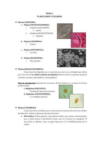 T5.-PARASITOLOGIA.pdf