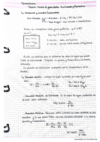 Tema-6-Termo.pdf