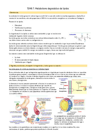 TEMA-7-Bioquimica-II.pdf