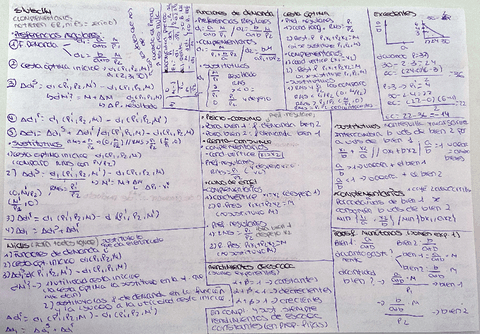 Esquema-examen-final-completo.pdf