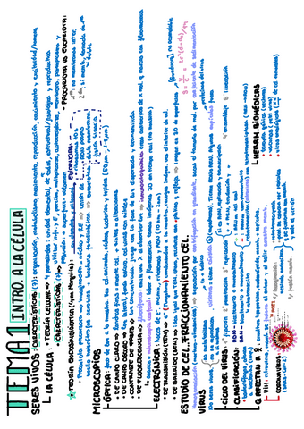 BIOCEL-Esquema-Tema-1.pdf