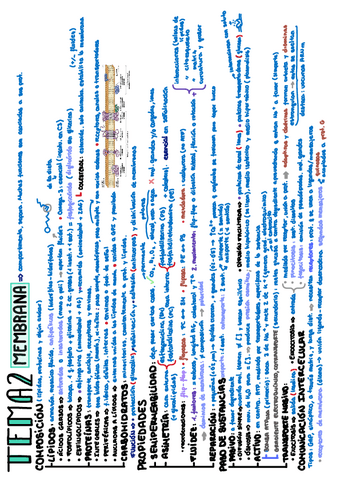 BIOCEL-Esquema-Tema-2.pdf