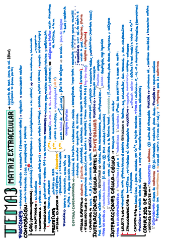 BIOCEL-Esquema-Tema-3.pdf