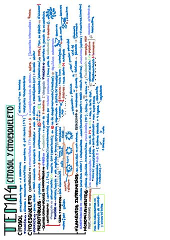 BIOCEL-Esquema-Tema-4.pdf