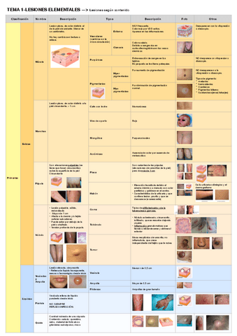 TABLA-TEMA-1-DERMA-2024-lesiones-elemantales.pdf