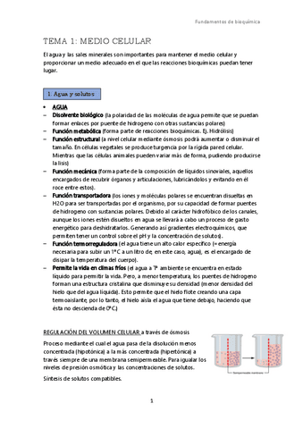 TEMA-1-COMPLETO.pdf