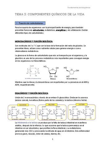 TEMA-2-COMPLETO.pdf