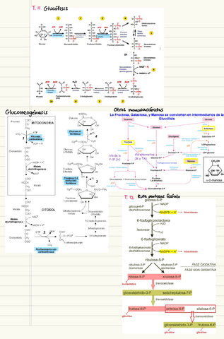 Todos-los-esquemas-de-rutas.pdf