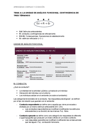 TEMA-4-ACC.pdf