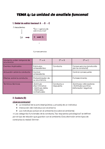 TEMA-4-La-unidad-de-analisis-funconal.pdf