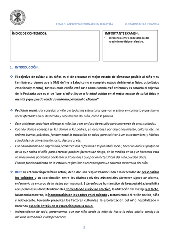 C.INF-TEMA-1.pdf