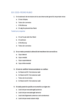 EEII-2020-PEDRO-RUBIO.pdf