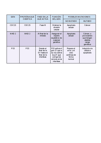 tabla-genes-reguladores-1.pdf